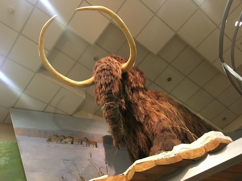 Yakutsk | Russia Travel Guide - Koryo Tours